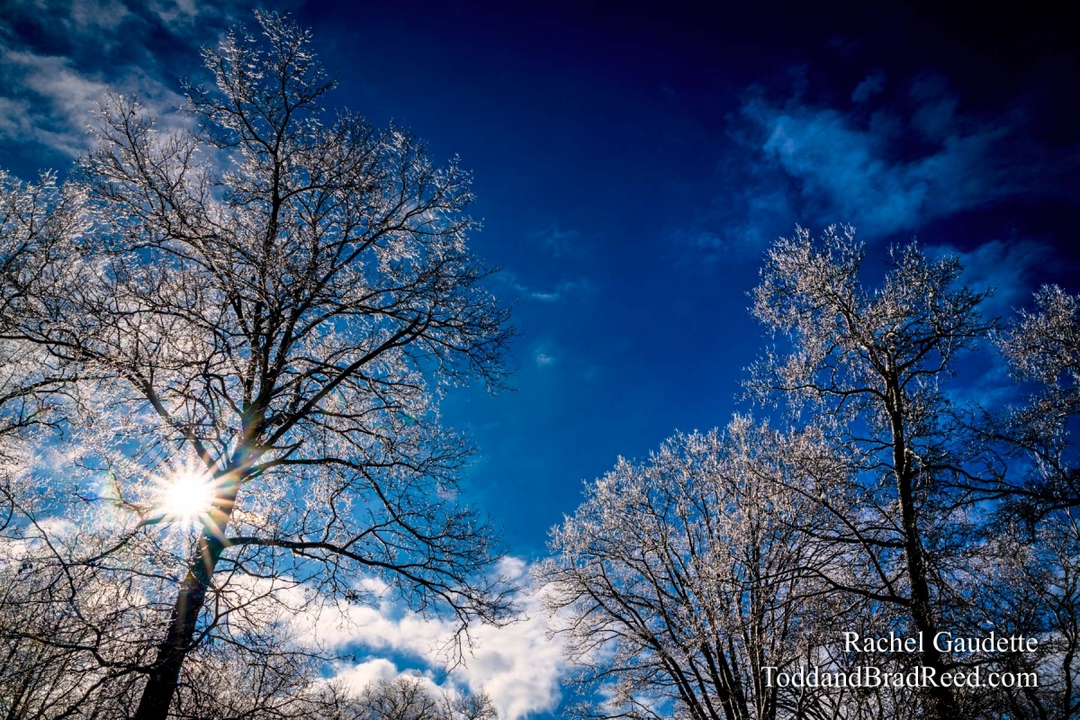 Weldon Creek Wonderland