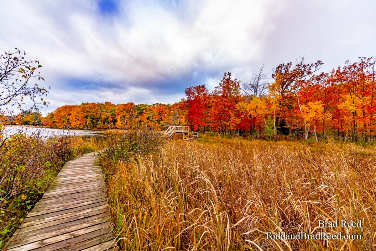 Ludington State Park (4405)