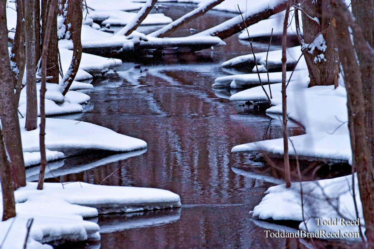 Todd Reed's Day 41 of 365