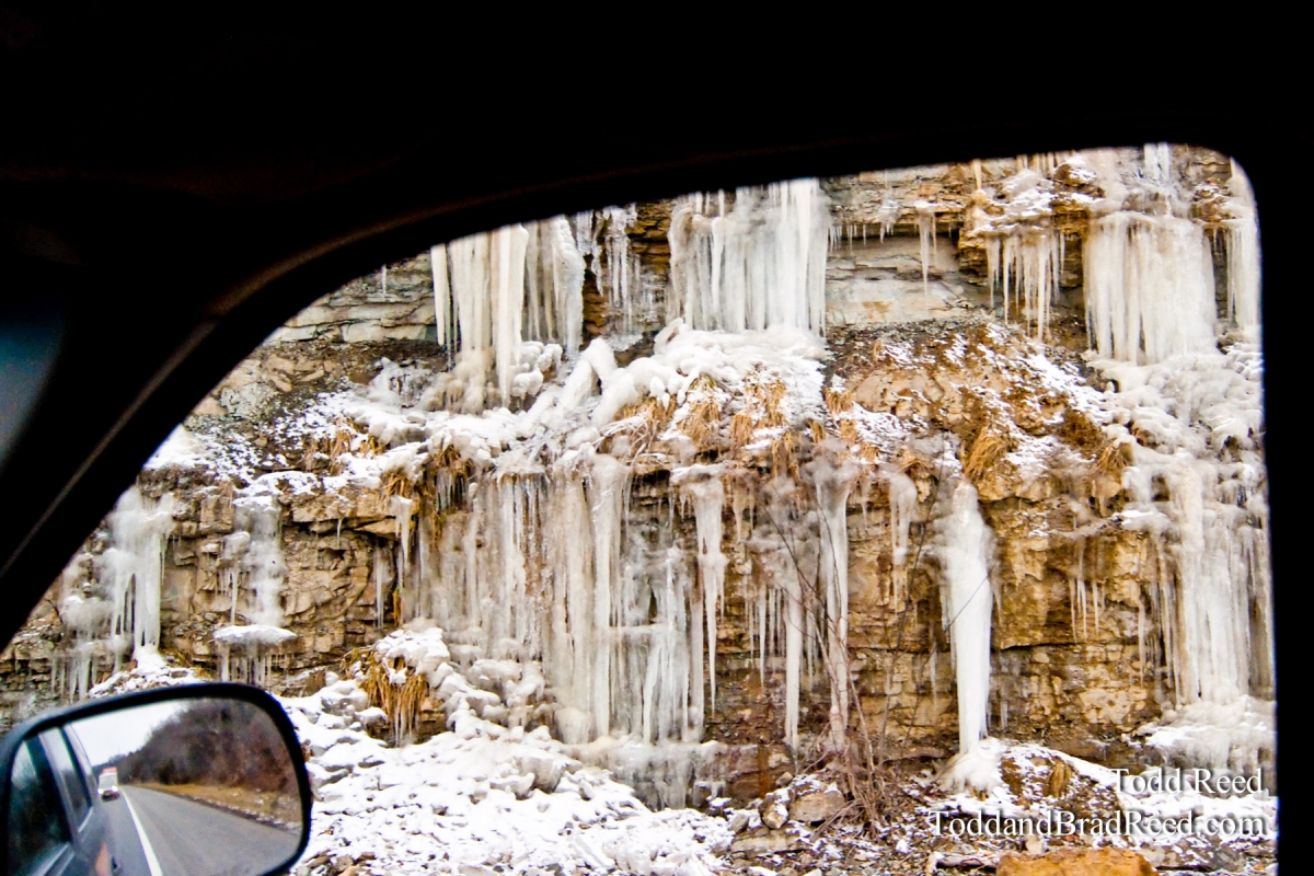 Todd Reed's Day 47 of 365