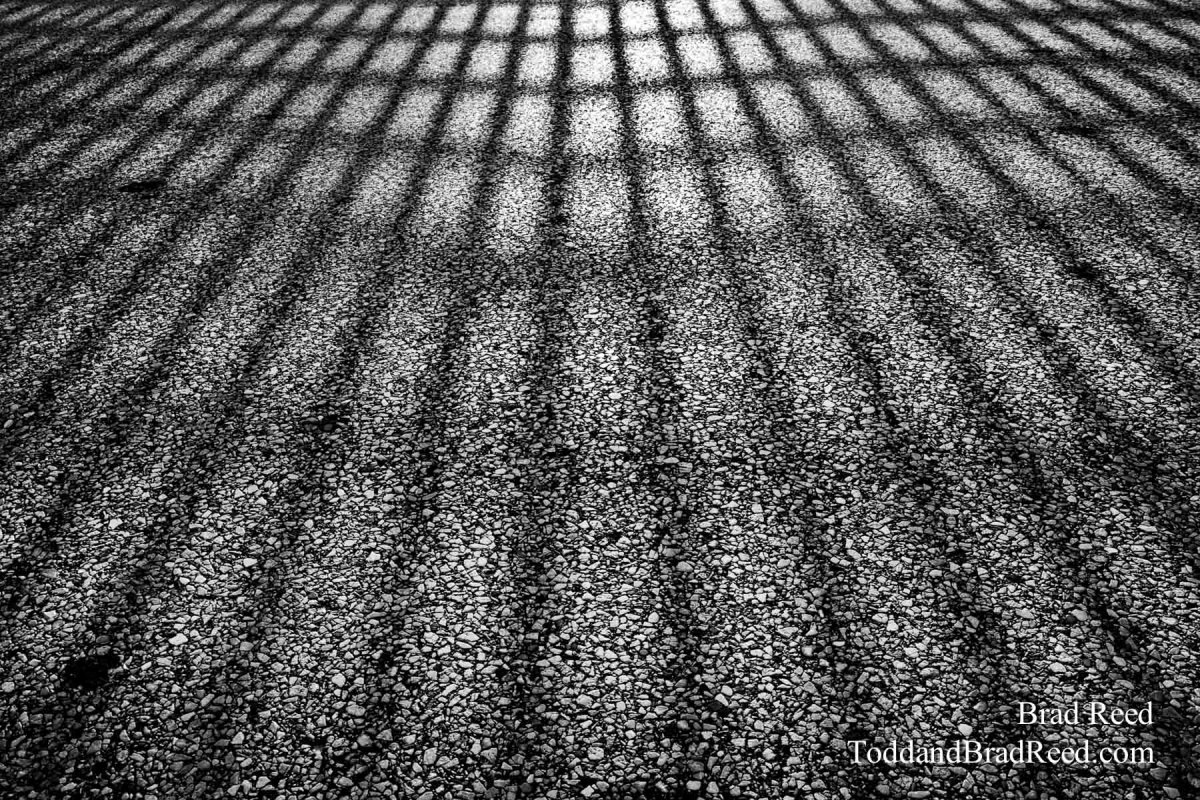 Brad Reed's Day 105 of 365