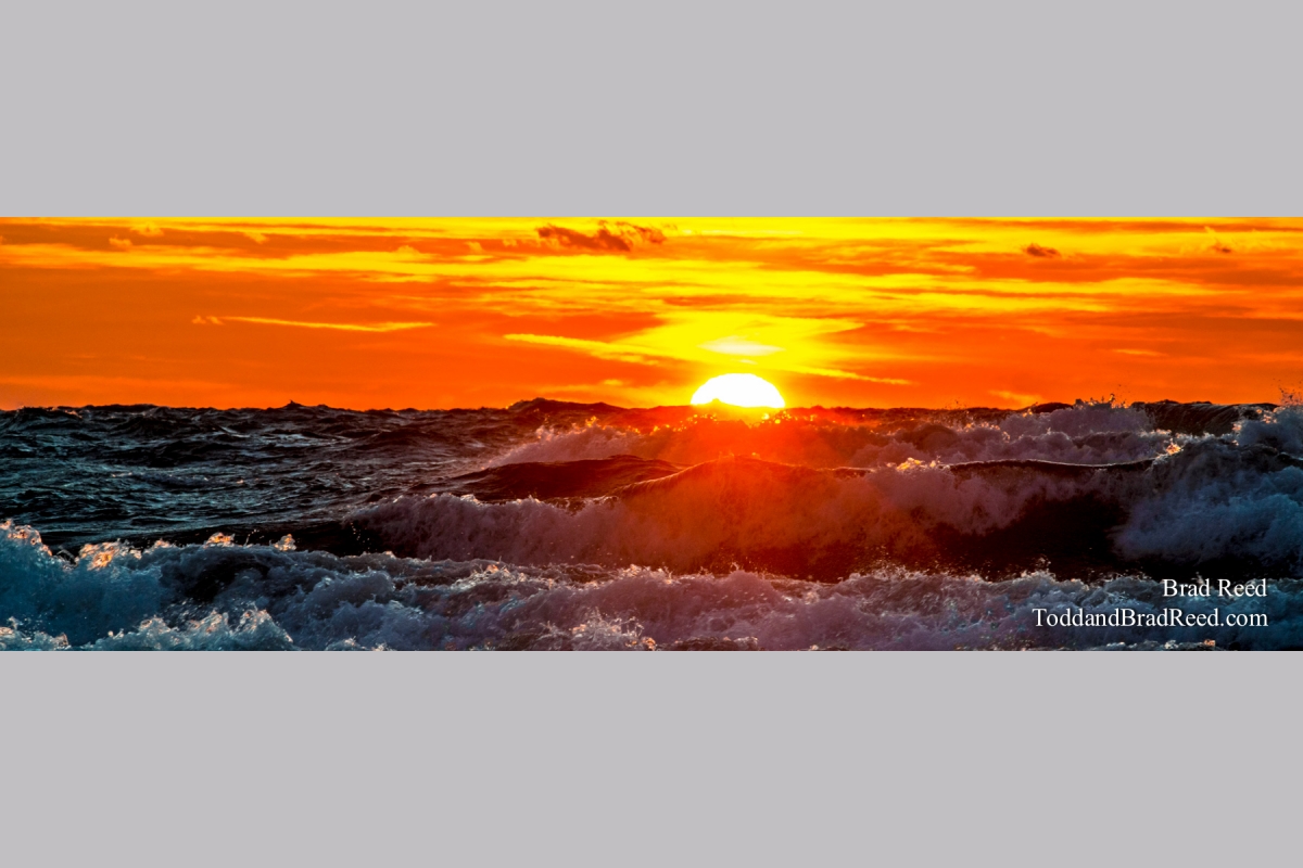 Set Free - Panoramic